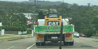 Tree Lopping Atherton Tablelnads